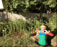 Smashed GIFs - Get the best gif on GIFER