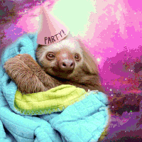 Happy sloth GIFs - Get the best gif on GIFER