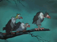 Humour GIFs - Get the best gif on GIFER
