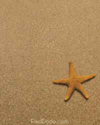 Sand GIFs - Get the best gif on GIFER
