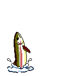 Fish jump GIFs - Get the best gif on GIFER