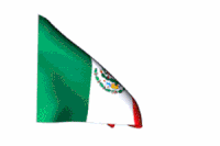 Mexico GIFs - Get the best gif on GIFER