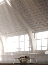 Skip GIFs - Get the best gif on GIFER