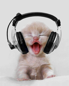 Resolution GIFs - Get the best gif on GIFER