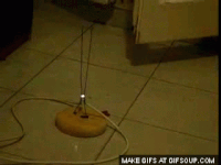 Electric GIFs - Get the best gif on GIFER