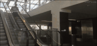 Terrorist GIFs - Get the best gif on GIFER