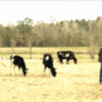 Pods GIFs - Get the best gif on GIFER