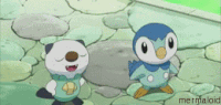 Oshawott GIFs - Get the best gif on GIFER
