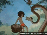 Mowgli GIFs - Get the best gif on GIFER