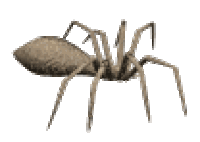 Spider GIFs - Get the best gif on GIFER