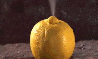 Lemon GIFs - Get the best gif on GIFER