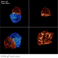 Infection GIFs - Get the best gif on GIFER