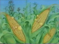 Corn flakes GIFs - Get the best gif on GIFER