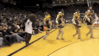 Туба GIFs - Get the best gif on GIFER