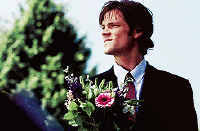 Spn GIFs - Get the best gif on GIFER