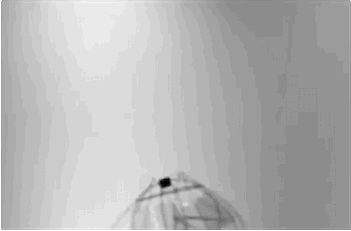 Biomimetics GIF - Conseguir o melhor gif em GIFER