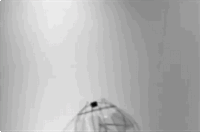 Biomimicry GIFs - Get the best gif on GIFER