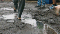Mud GIFs - Get the best gif on GIFER
