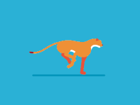 Cheetah GIFs - Get the best gif on GIFER