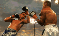 Boxers GIFs - Get the best gif on GIFER