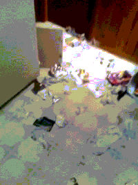 Mess GIFs - Get the best gif on GIFER