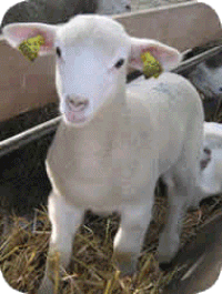 Exploitation GIFs - Get the best gif on GIFER