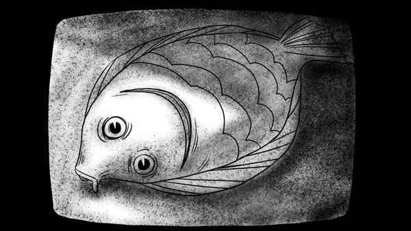 Flatfish GIFs - Get the best gif on GIFER