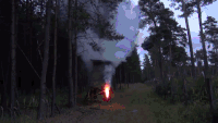 Firecracker GIFs - Get the best gif on GIFER