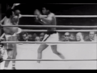 Ali GIFs - Get the best gif on GIFER