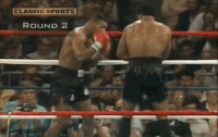 Knockout GIFs - Get the best gif on GIFER