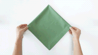 Napkins GIFs - Get the best gif on GIFER