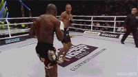 Kickboxing GIFs - Get the best gif on GIFER