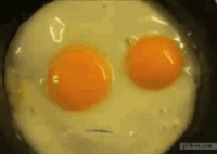 Breakfast GIFs - Get the best gif on GIFER