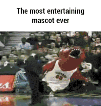 Entertaining GIFs - Get the best gif on GIFER