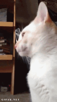 Malfunction GIFs - Get the best gif on GIFER