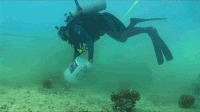 Oceano GIFs - Get the best gif on GIFER