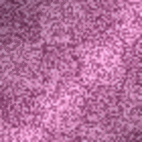 Platon GIFs - Get the best gif on GIFER