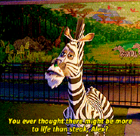 Madagascar GIFs - Get the best gif on GIFER