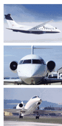 Vienna GIFs - Get the best gif on GIFER