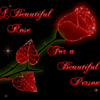 Adore GIFs - Get the best gif on GIFER