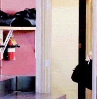 Vel GIFs - Get the best gif on GIFER