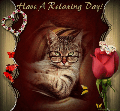 Boomer GIFs - Get the best gif on GIFER