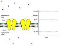 Action GIFs - Get the best gif on GIFER