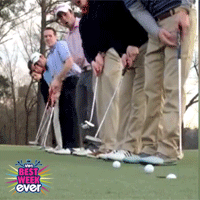 Good week GIF - Conseguir o melhor gif em GIFER