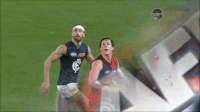 Afl GIFs - Get the best gif on GIFER