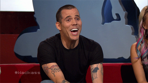 Wackass GIFs - Get the best gif on GIFER