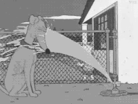 The canine mutiny GIF - Conseguir o melhor gif em GIFER