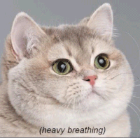 Fudge GIFs - Get the best gif on GIFER