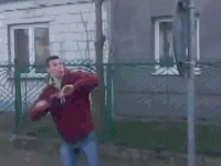 Iq GIFs - Get the best gif on GIFER