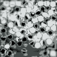 Dynamic GIFs - Get the best gif on GIFER